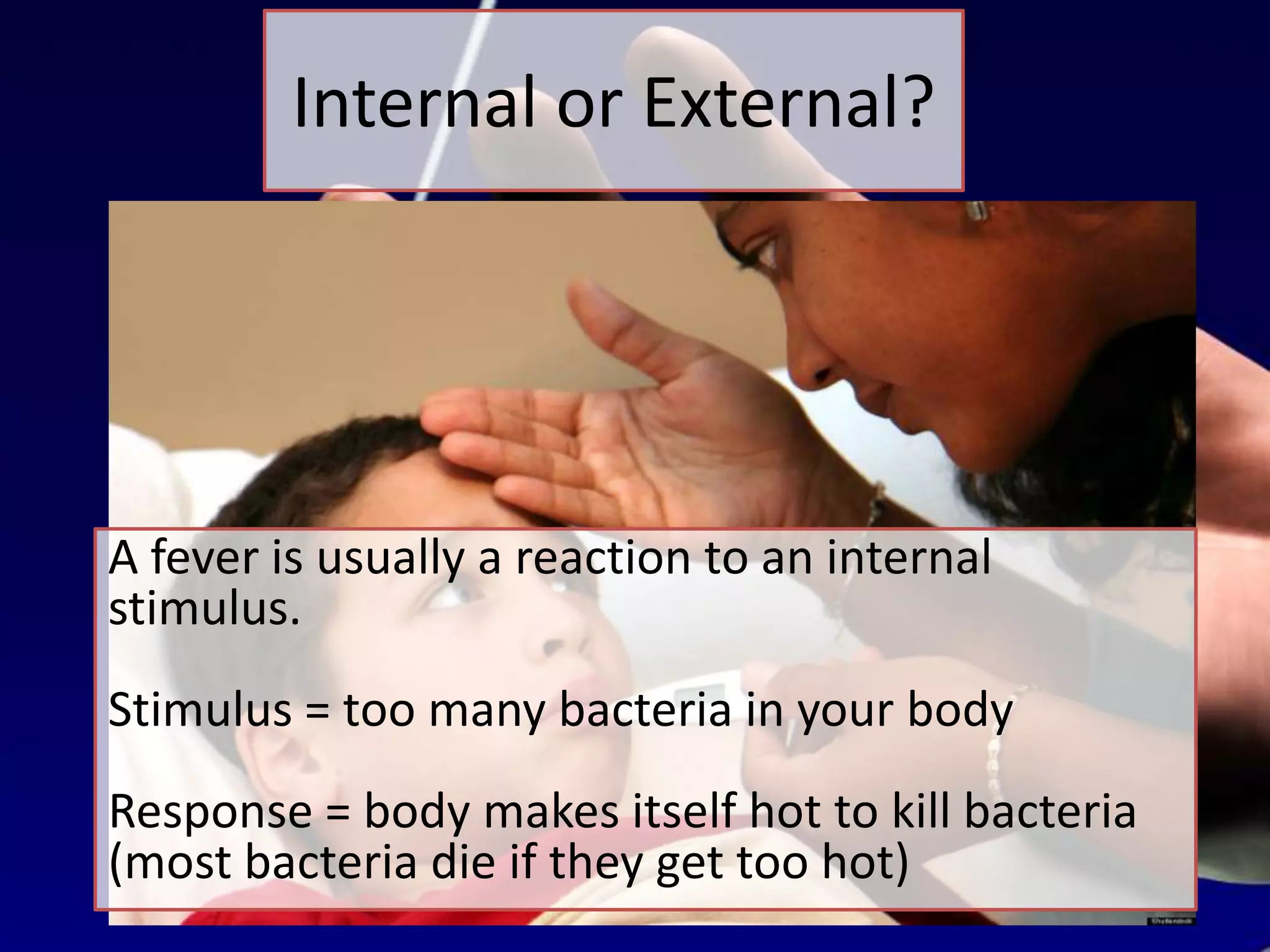 Stimuli lesson 3 | PPT