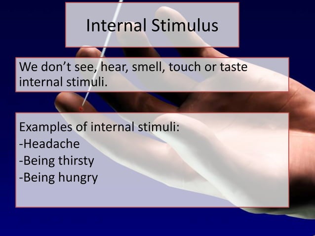Stimuli lesson 3 | PPT