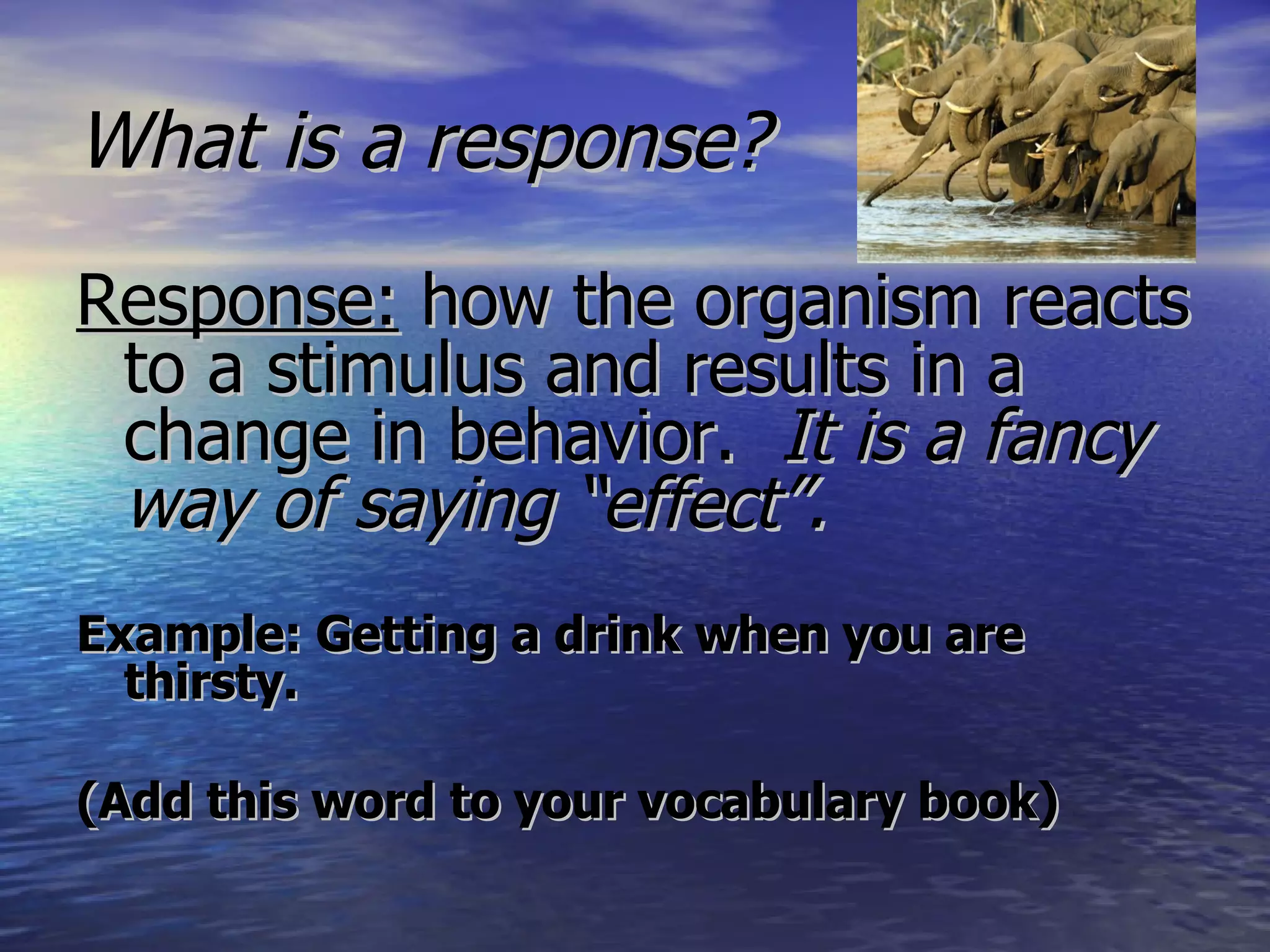 Stimulus And Response | PPT