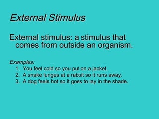 Stimulus Response Examples
