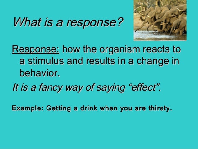 Stimulus and-response-tina