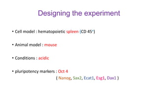 Stimulus triggered fate conversion into pluripotency | PPT