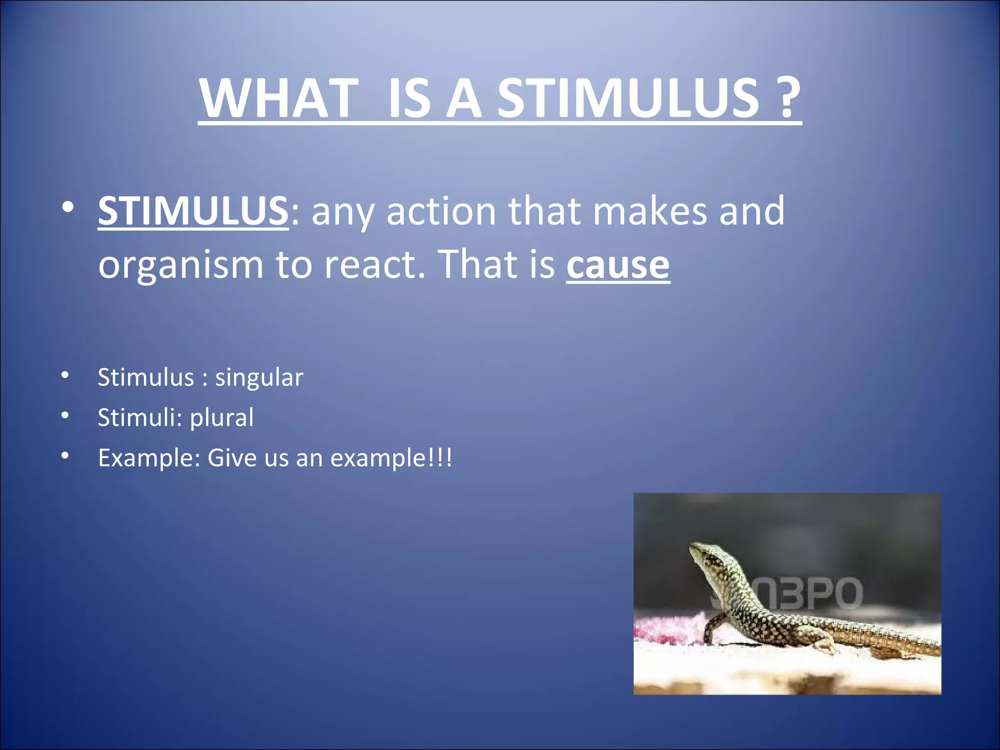 Stimulus and response | PPT