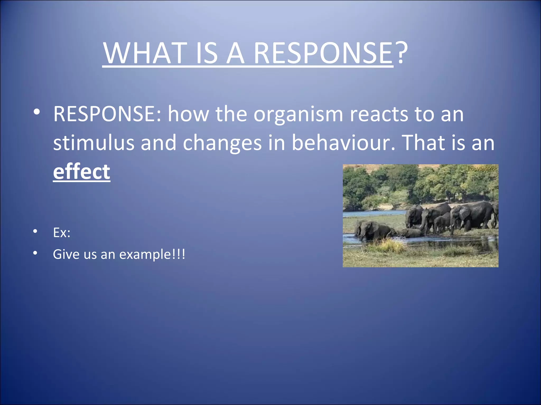 Stimulus and response | PPT