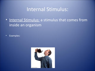 Stimulus and response | PPT