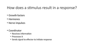 stimulus and response o and a levels biology | PPTX