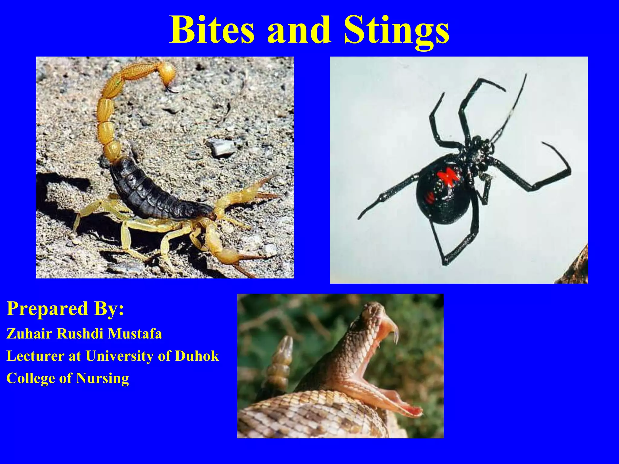 First Aid for Sting and bites | PPT