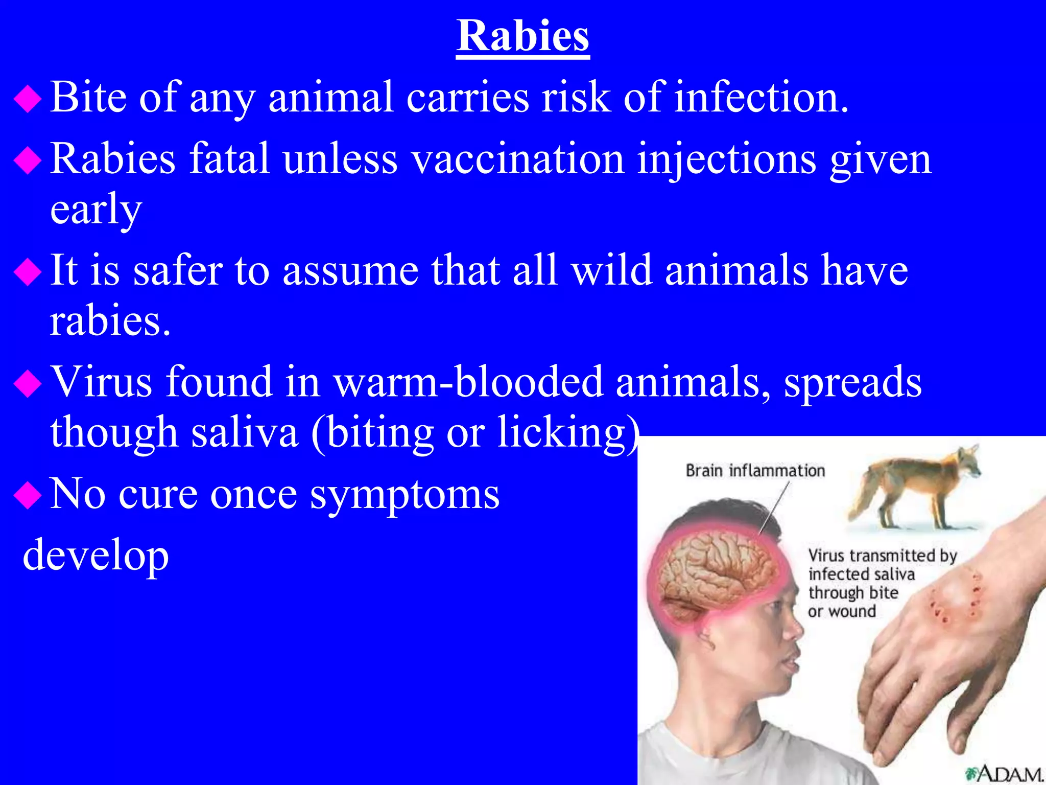 First Aid for Sting and bites | PPT