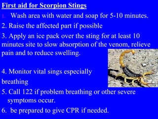 First Aid for Sting and bites | PPT