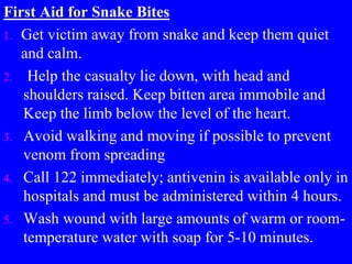 First Aid for Sting and bites | PPT