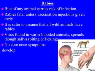 First Aid for Sting and bites | PPT