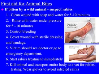 First Aid for Sting and bites | PPT