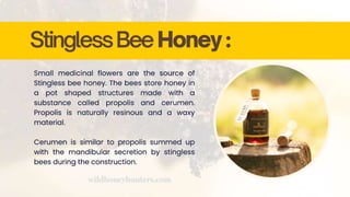 Stingless bee honey-Mother of medicine from Wild honey hunters | PPT