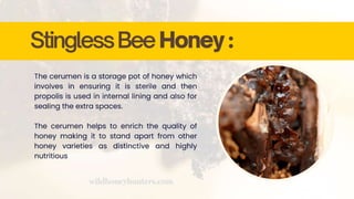 Stingless bee honey-Mother of medicine from Wild honey hunters | PPT