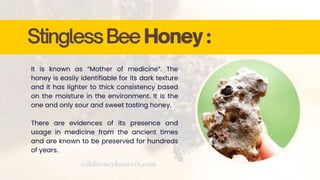 Stingless bee honey-Mother of medicine from Wild honey hunters | PPT