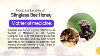 Stingless bee honey-Mother of medicine from Wild honey hunters | PPT
