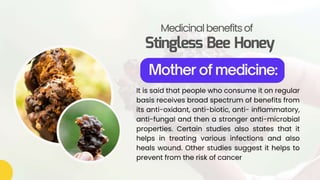 Stingless bee honey-Mother of medicine from Wild honey hunters | PPT