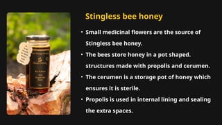 Rare and Exotic Wild Stingless Bee Honey | PPTX
