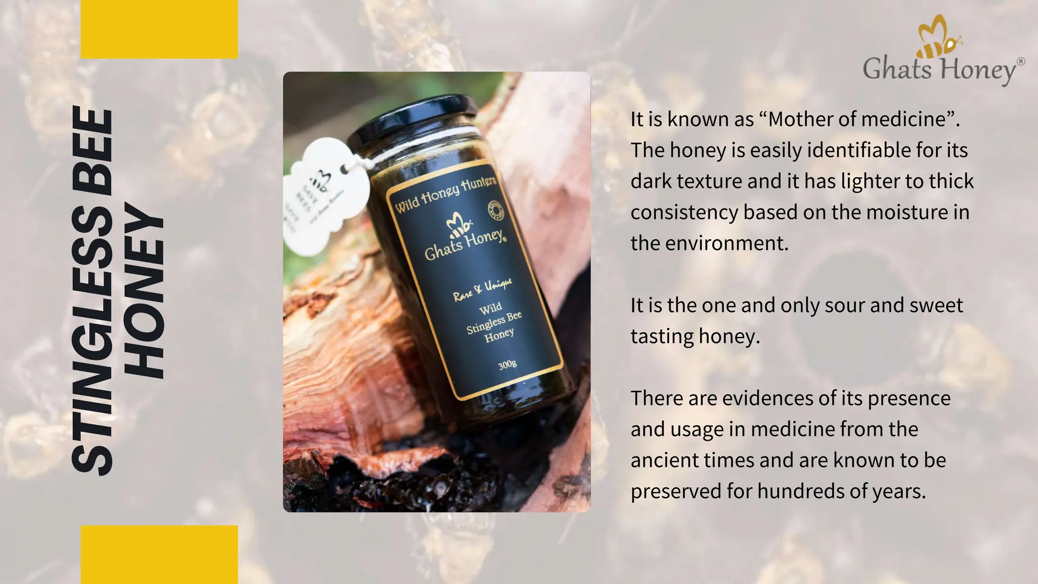 Stingless Bee honey from Wild honey hunters | PPT