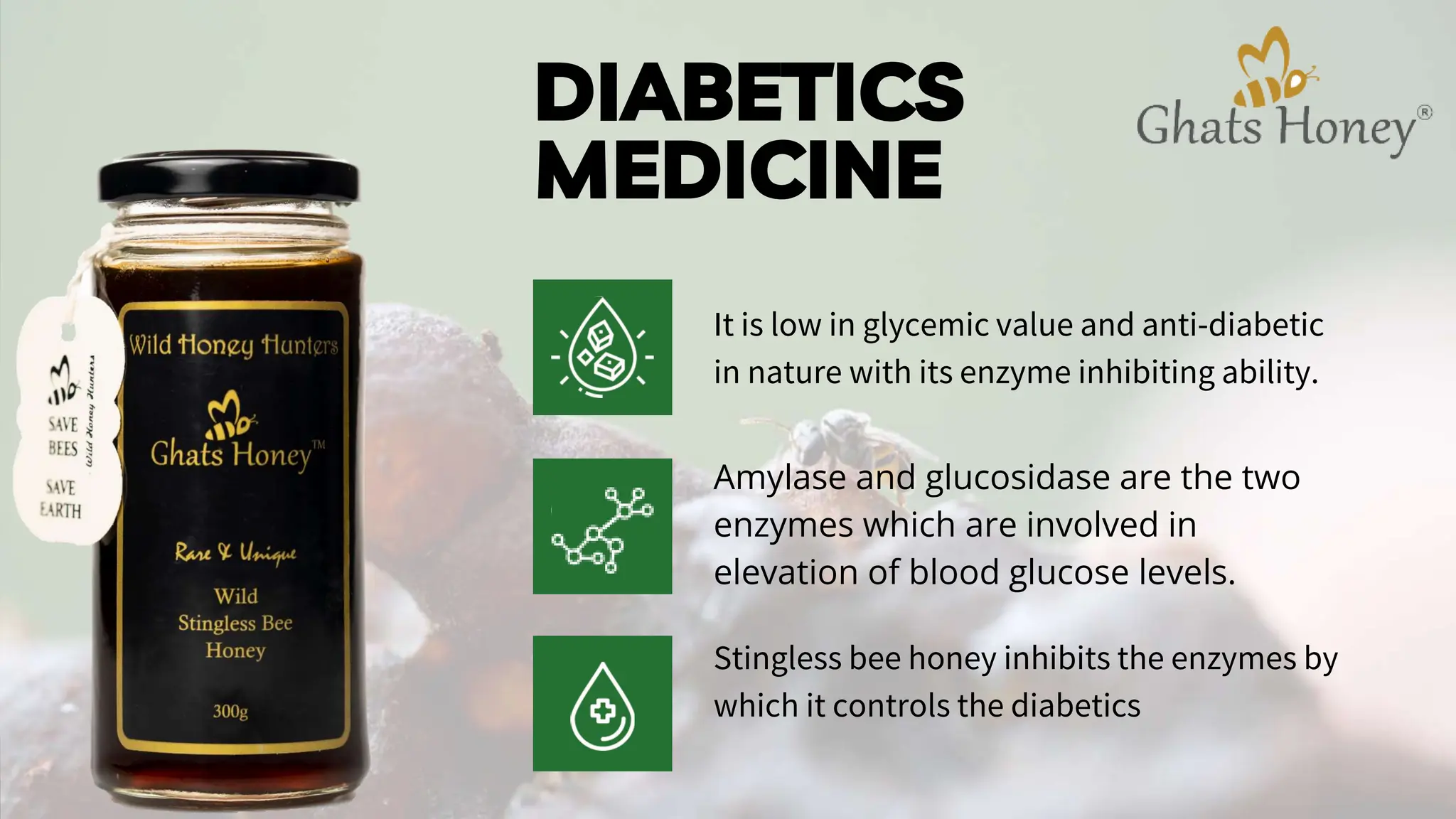 Stingless Bee honey from Wild honey hunters | PPT