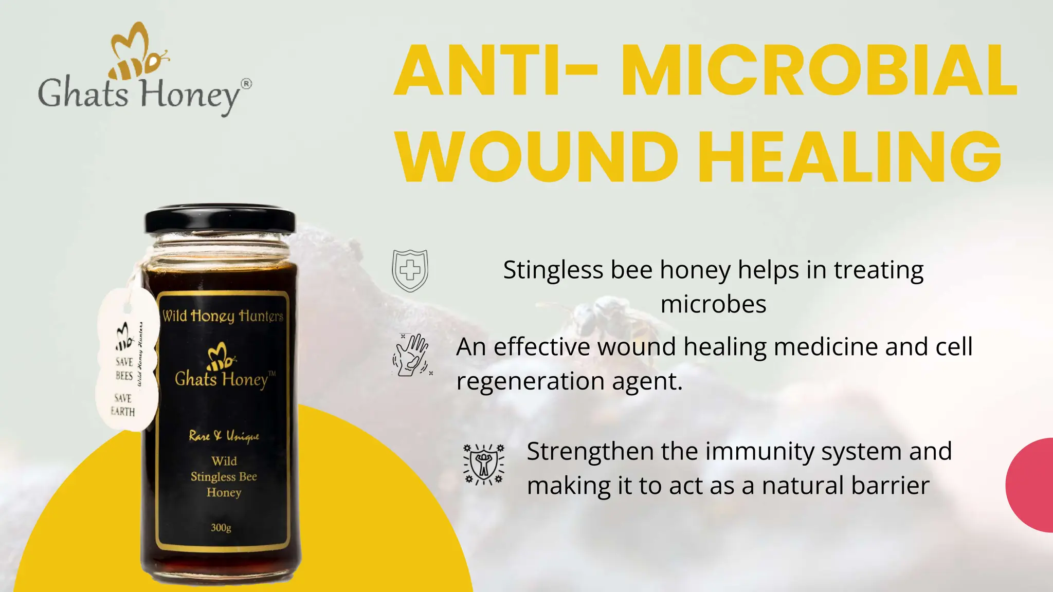 Stingless Bee honey from Wild honey hunters | PPT