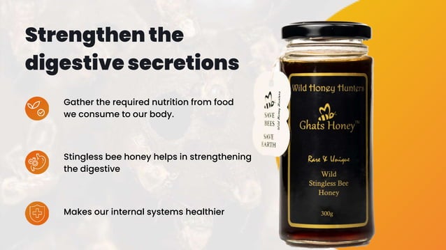 Stingless Bee honey from Wild honey hunters | PPT