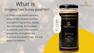 Stingless Bee honey from Wild honey hunters | PPT