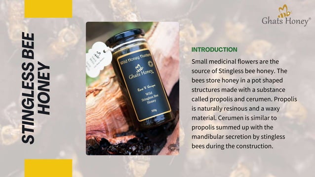 Stingless Bee honey from Wild honey hunters | PPT