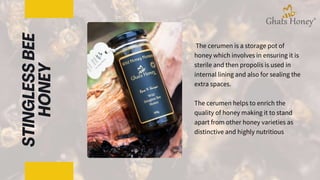 Stingless Bee honey from Wild honey hunters | PPT