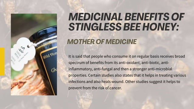Stingless Bee honey from Wild honey hunters | PPT