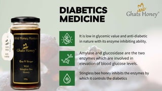 Stingless Bee honey from Wild honey hunters | PPT