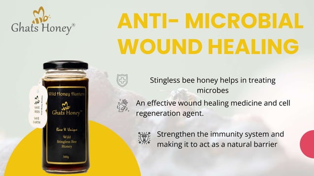 Stingless Bee honey from Wild honey hunters | PPT