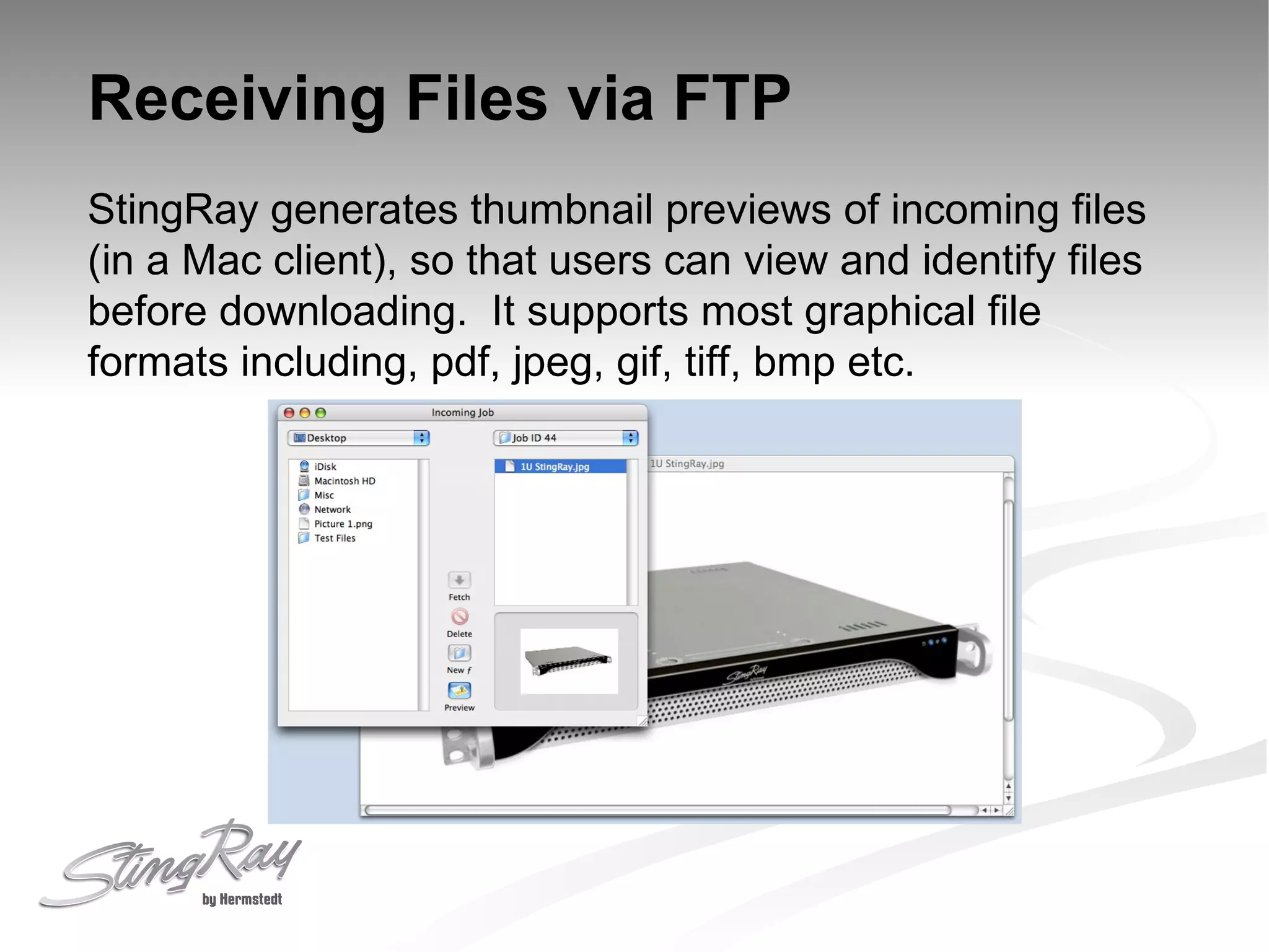 StingRay For FTP | PPT