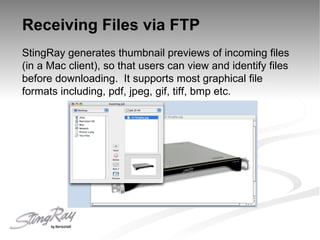 StingRay For FTP | PPT