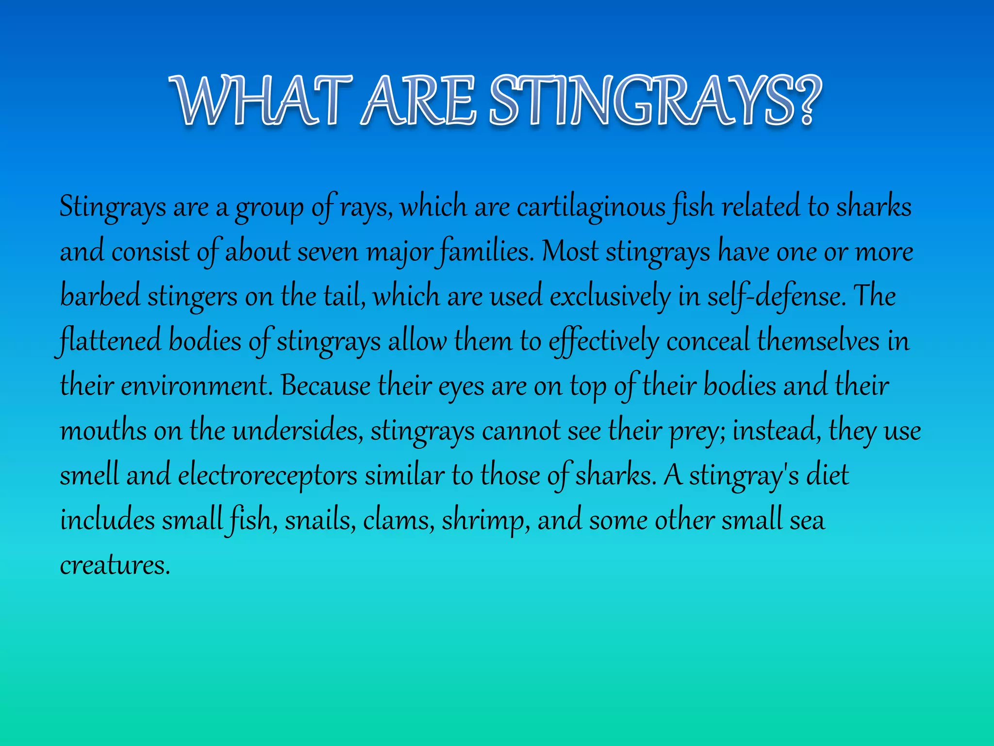 Stingrays | PPTX