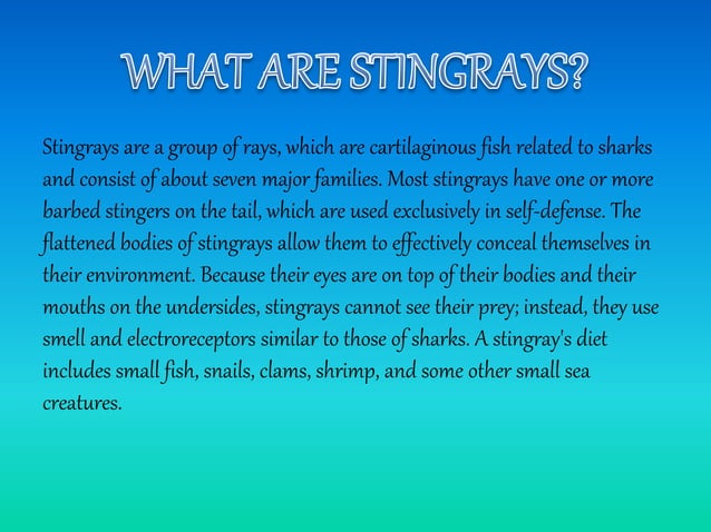 Stingrays | PPTX | Zoos & Aquariums | Attractions
