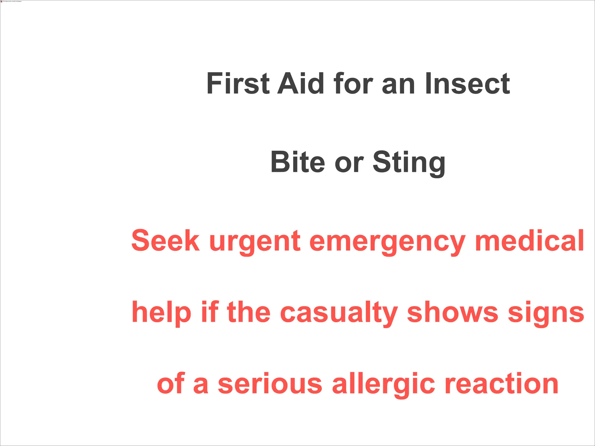 STINGS AND BITES.pptx