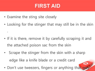 STINGS AND BITES.pptx | First Aid | Injuries