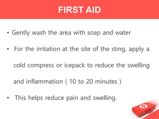 STINGS AND BITES.pptx | First Aid | Injuries
