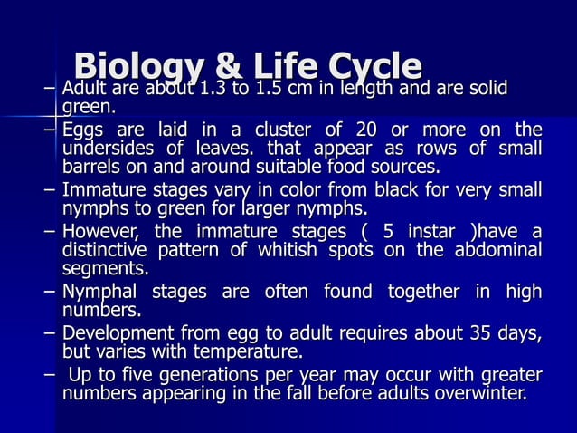 IPM- Stink bugs | PPT