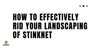 Stinknet: What It Is and What To Do About It | PPT