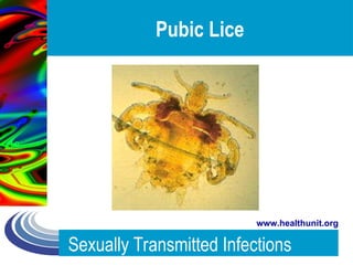 STI what is it and signs Power Point Presentation.ppt