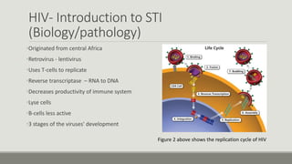 STI Presentation.pptx