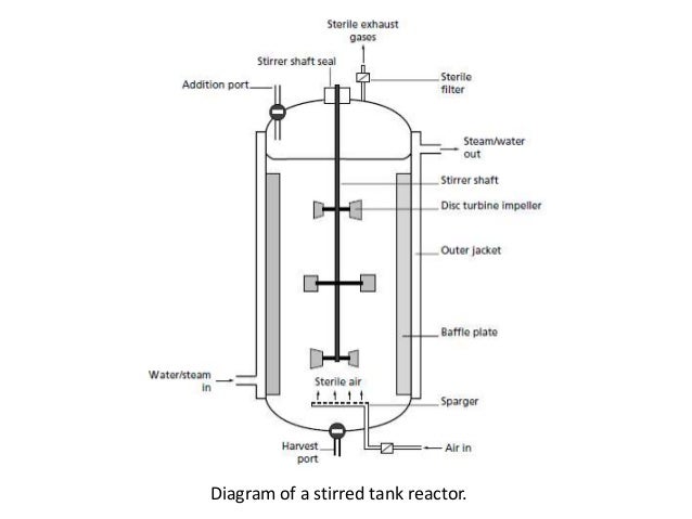 Stirred tank bioreactor