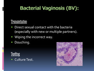 Sexually Transmitted Disease (STIs) Life Orientation Gr.9 | PPTX
