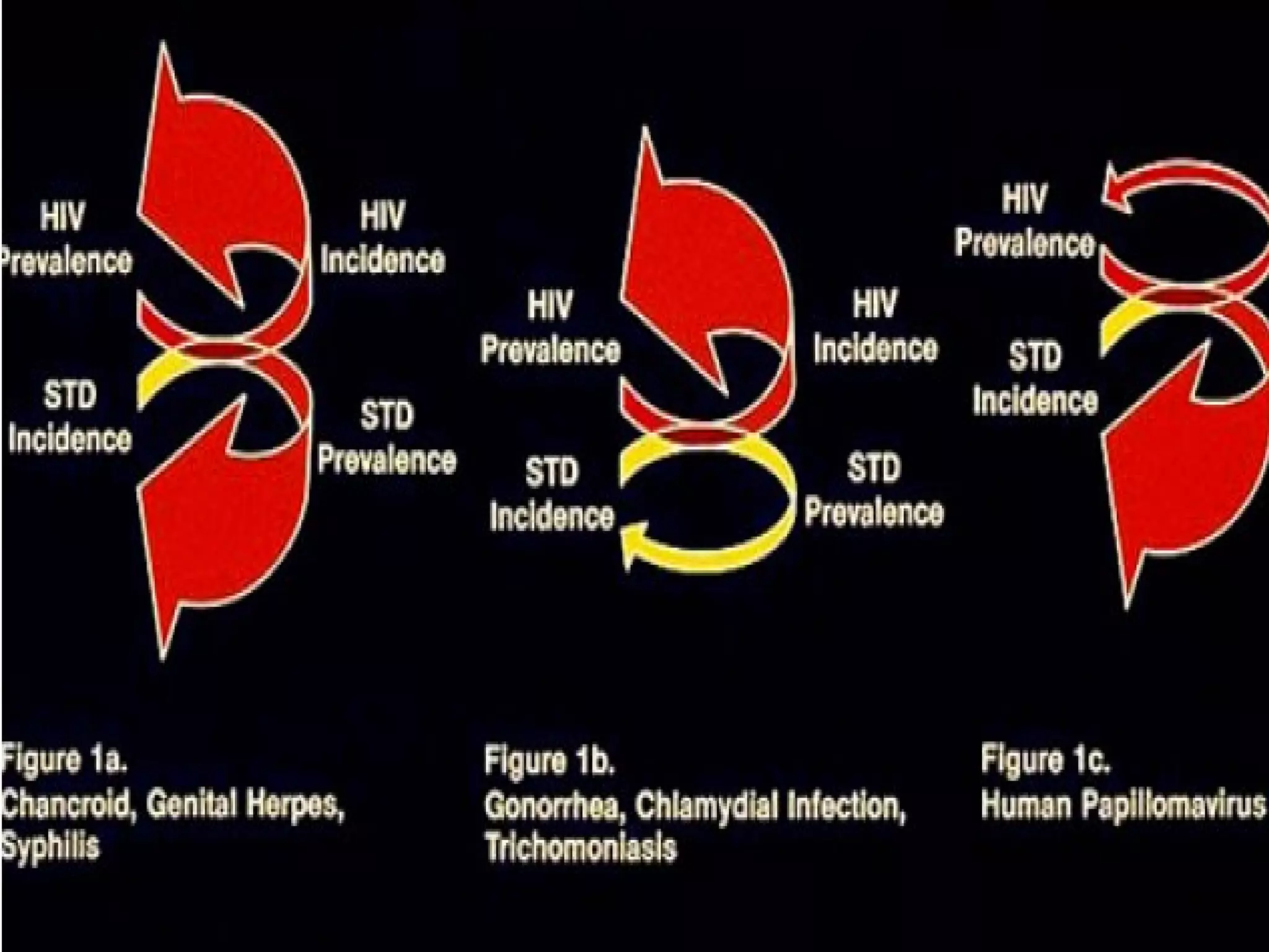 STI & HIV | PPT