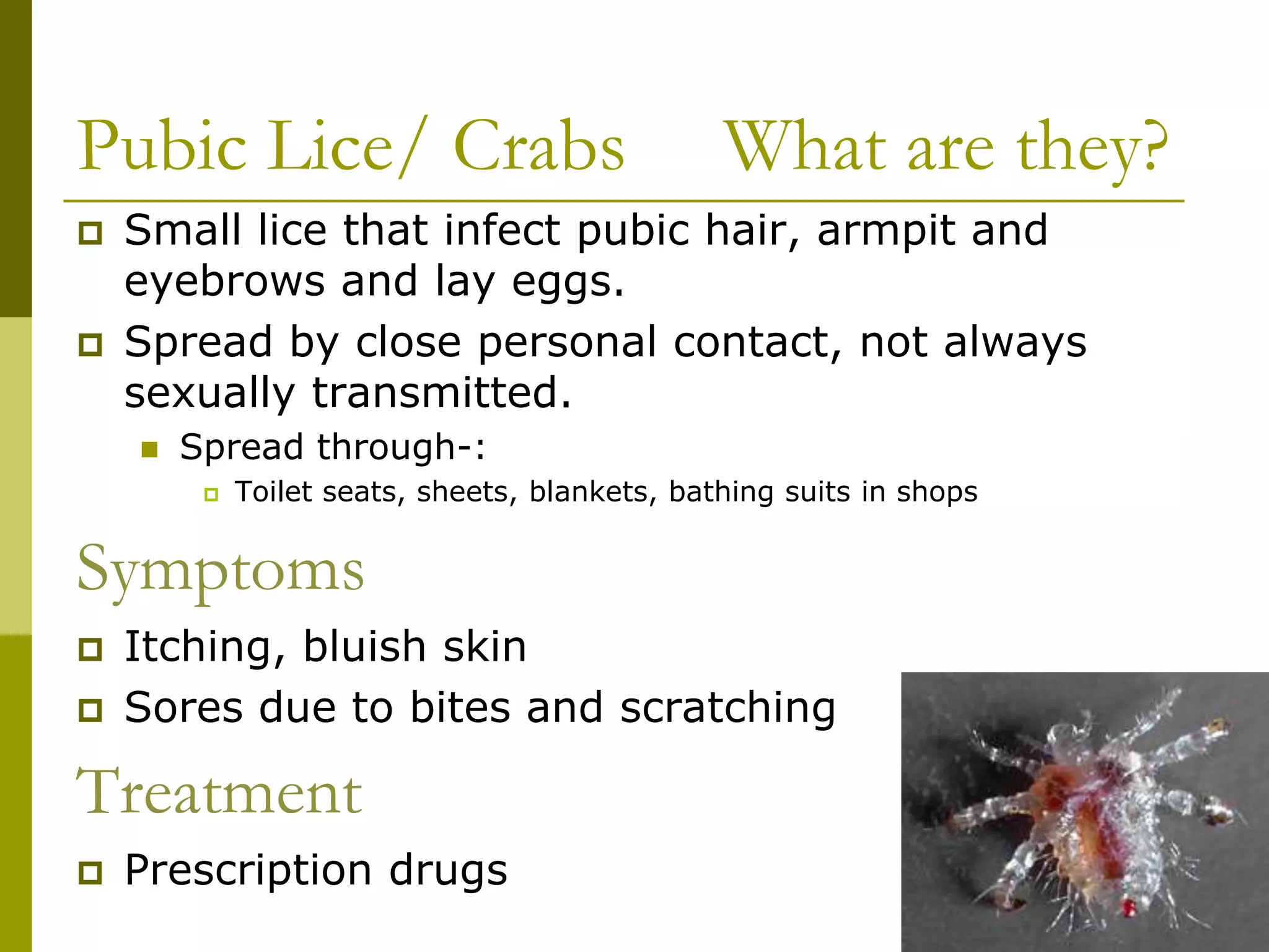 Sti's updated-What you need to know | PPTX