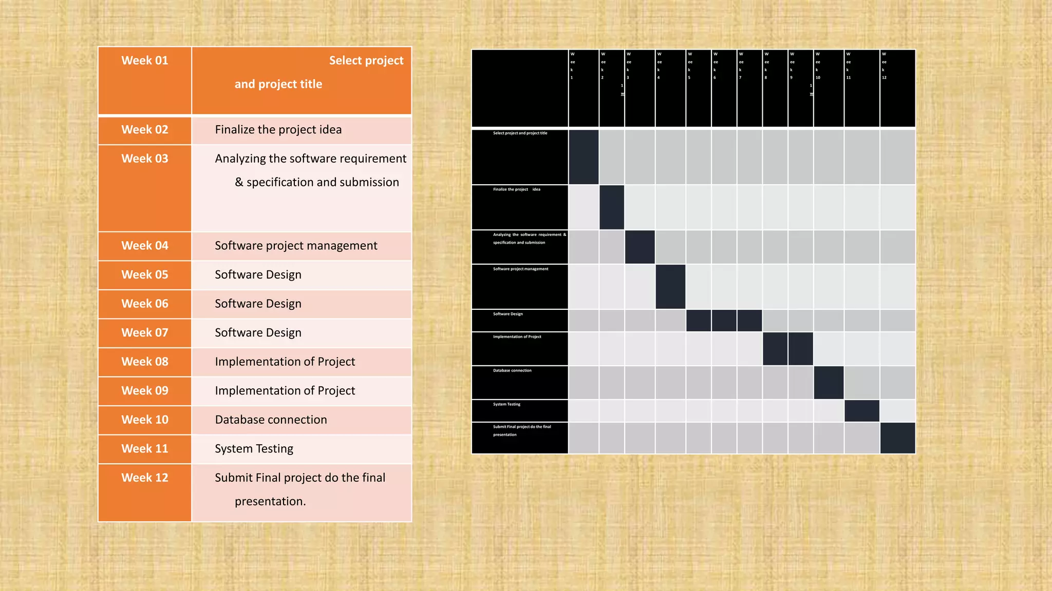 Stitching Shop Management System.pptx