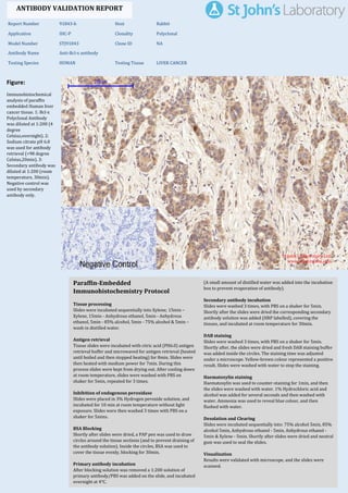 Immunohistochemistry Antibody Validation Report for Anti-Bcl-x Antibody ...