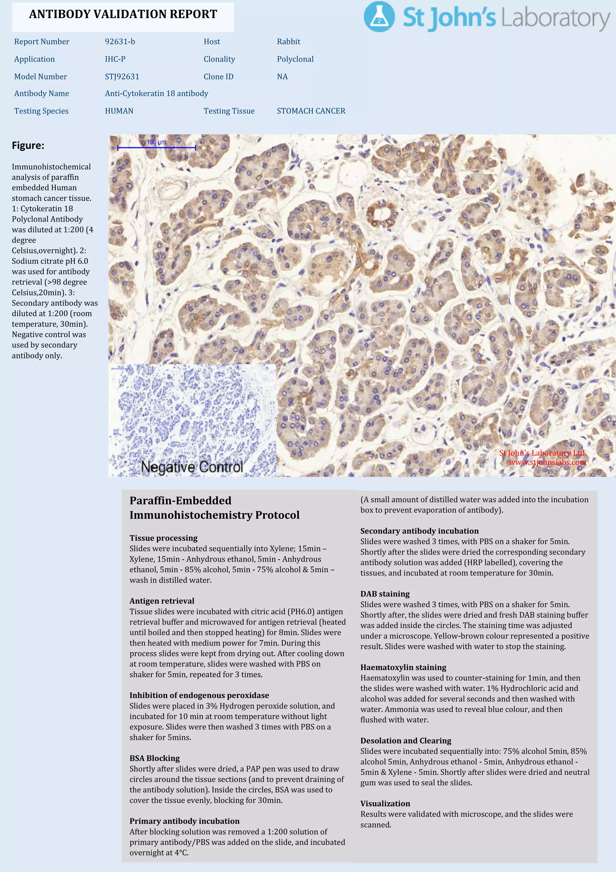 Immunohistochemistry Antibody Validation Report for Anti-Cytokeratin 18 ...